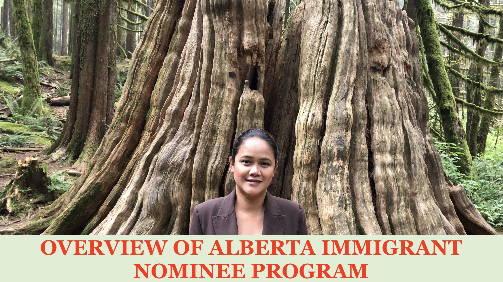 Overview of the Alberta Immigrant Nominee Program - Fusion Immigration